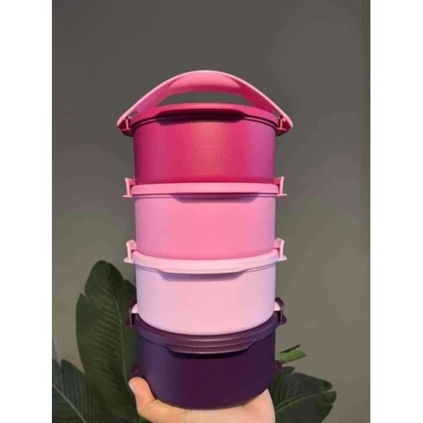 Tup Tiffin Tupperware products( 4 pieces) | Shopee Malaysia