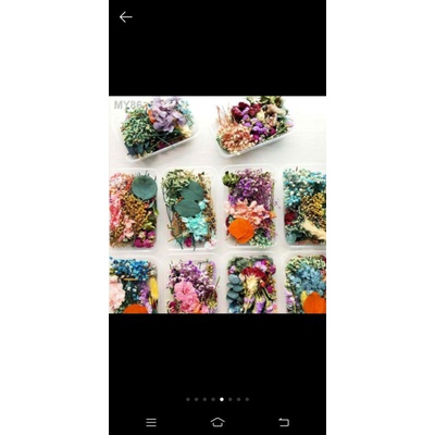 🌟READYSTOCK🌟 Bunga kering art resin | Shopee Malaysia