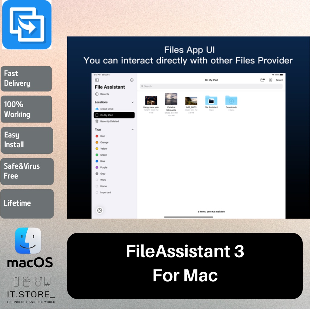 FileAssistant 3 Lifetime for Intel and M1 Chip Apple Silicone MacOs ...