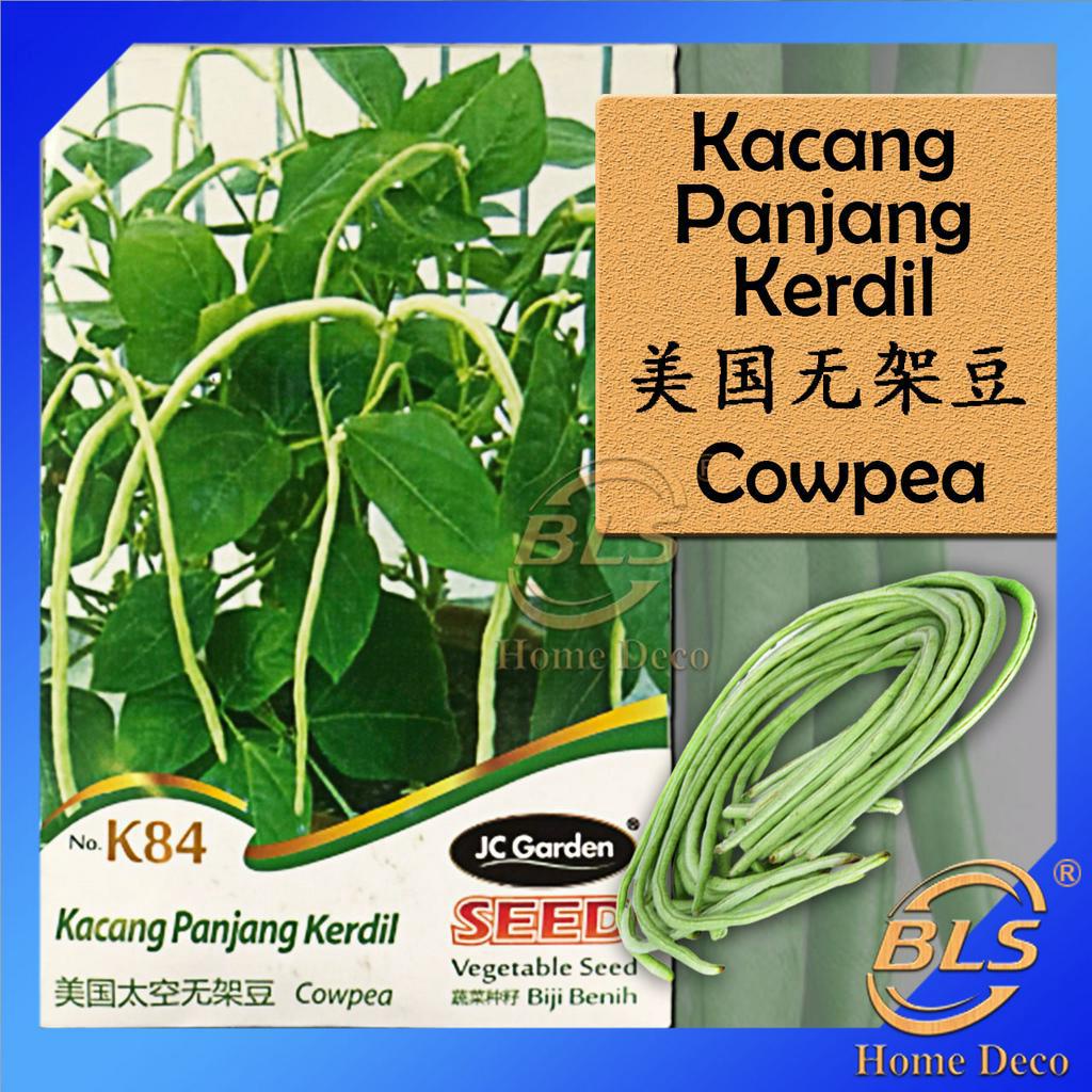 K84 JC GARDEN COWPEA VEGETABLE SEED BIJI BENIH KACANG PANJANG 美国太空无架豆种子 | Shopee Malaysia