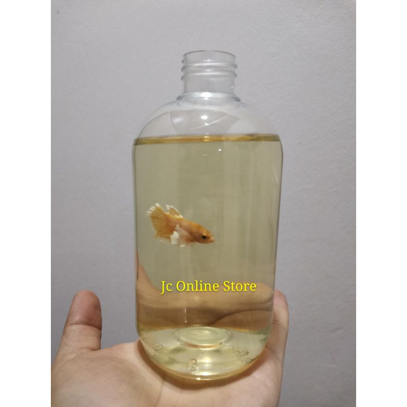 🔥HOT ITEM🔥Ready Stock🔥 Botol Plastik Ikan Laga 500ml/Betta Fish/Guppy ...