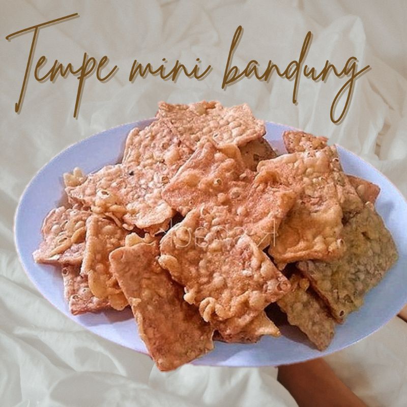 Bandung sweet and spicy mini tempeh chips snack 1kg | Shopee Malaysia