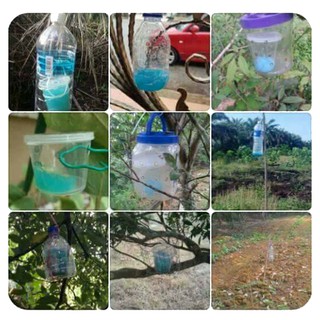 [ReadyStock] 11 Gel Kencing Harimau E-Pro Buster (180g x 11pcs)halau ...