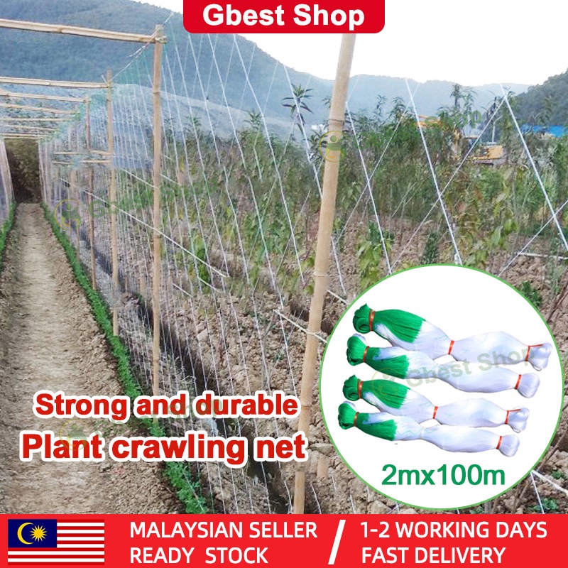 Melon Net Trellis Climbing Plants Support Garden Net Mesh Netting Planting Tool Untuk Tanaman ...
