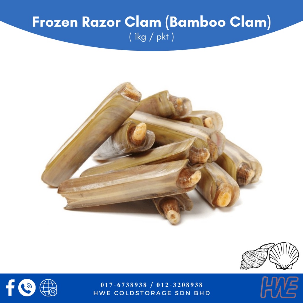 Frozen Bamboo Clam 1kg | Frozen Pepahat Bamboo LaLa Razor Clam | 竹滩 ...