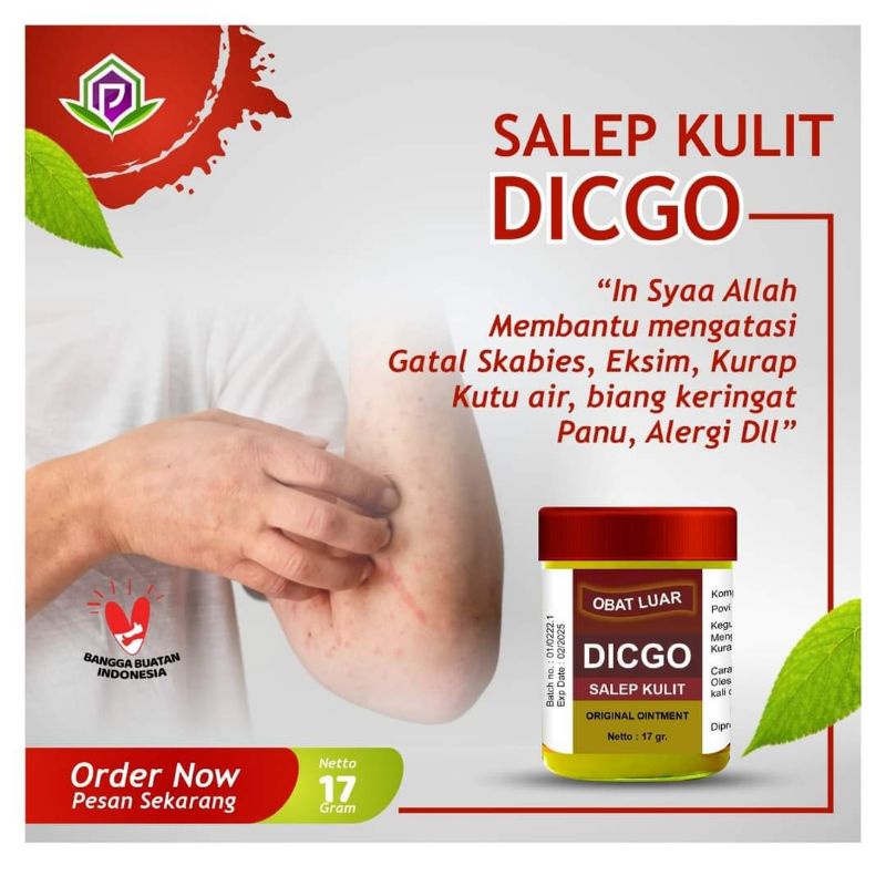 Skin Eczema Ointment Skabies Panu Kadas Ointment Crackle DICGO | Shopee ...