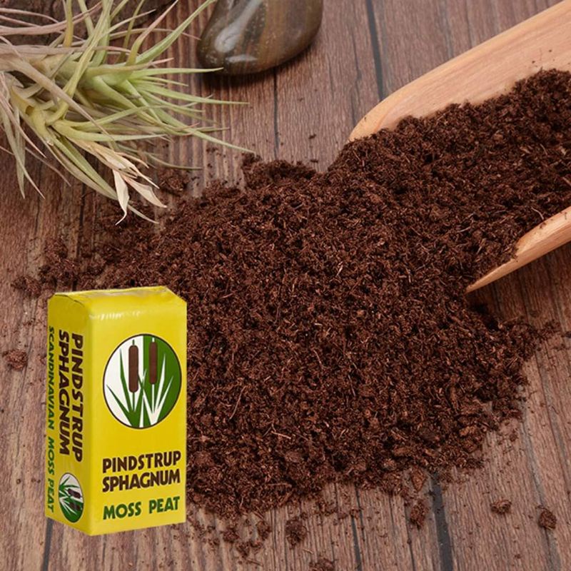 PINDSTRUP PEATMOSS Denmark succulent Soil/Seeding Soil/Tanah Semaian ...