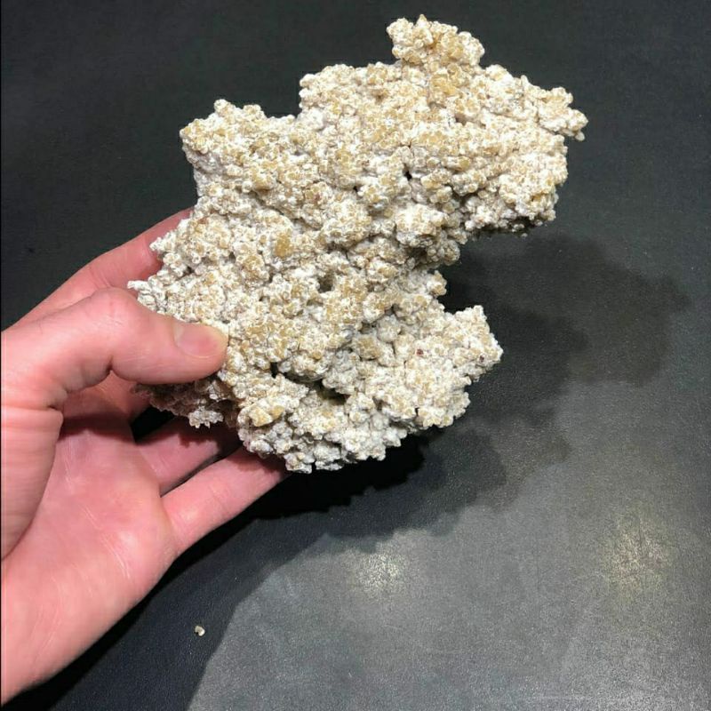 KOJI MILLET 小米麴 Koji Beras Millet 200g | Shopee Malaysia