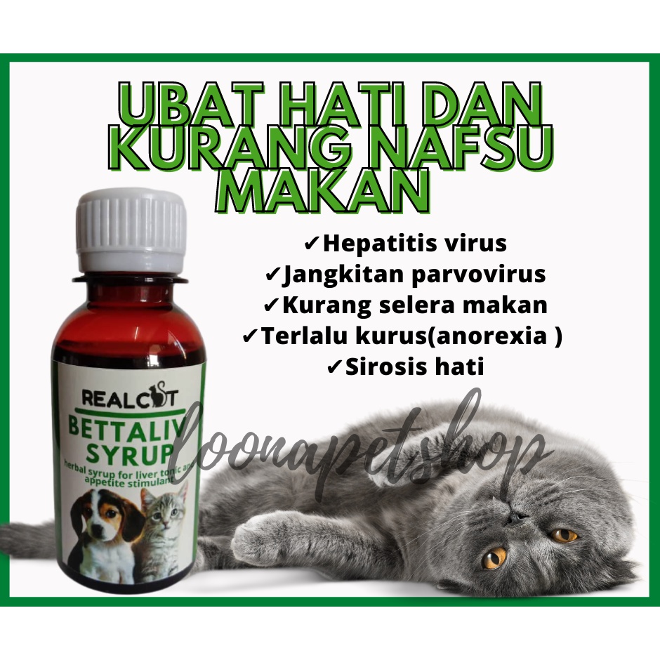 Ubat Hati Kucing Sporo Murung Ubat Virus Kucing Gemuk Vitamin Selera ...