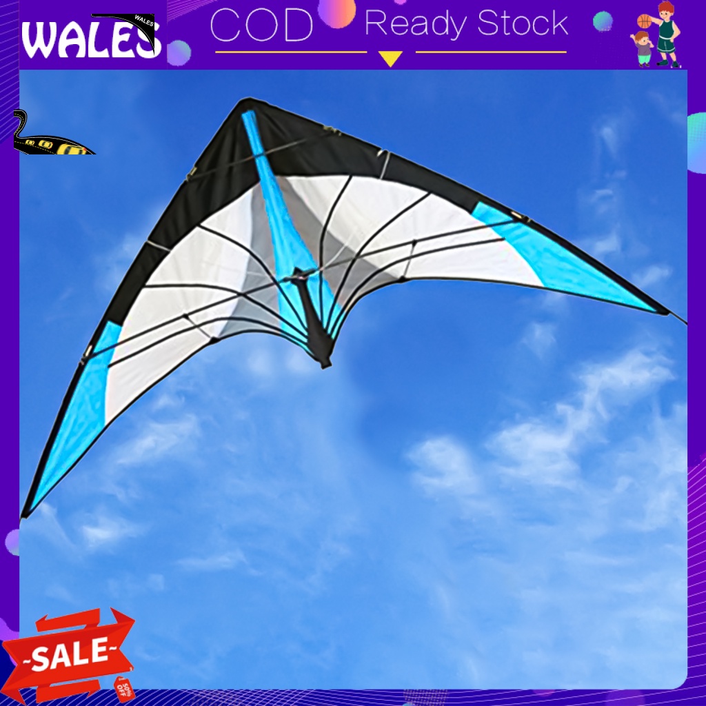 Light Weight Stunt Kite Triangle Kites Flying Toy Hand Held for Playing ...