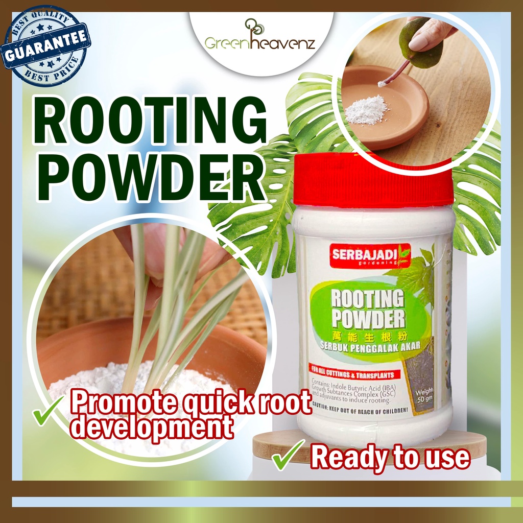 Garden Plant Rooting Powder for Plant Penggalak Akar Pokok Baja ...