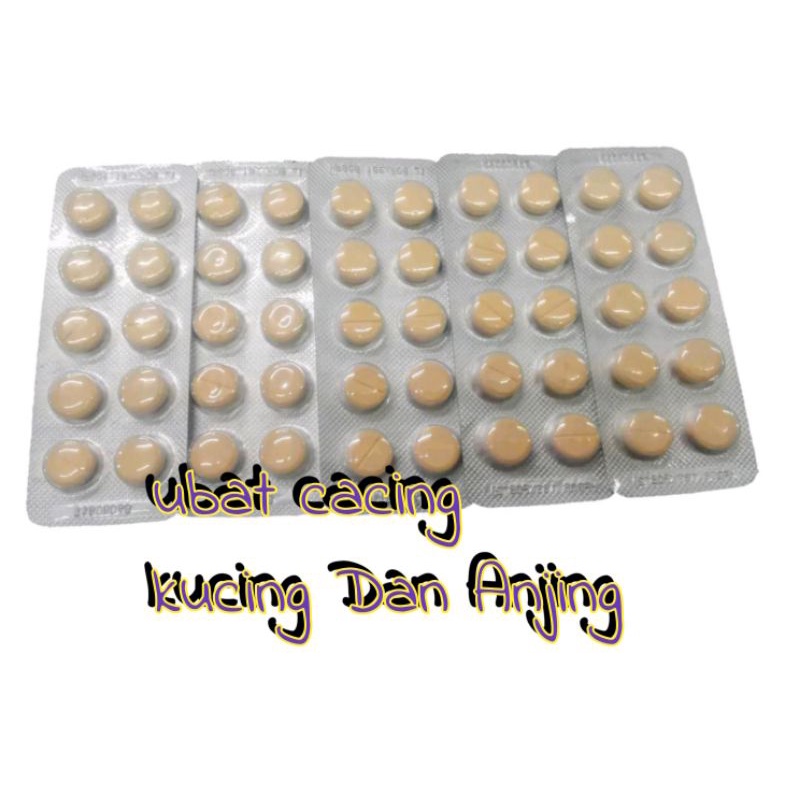 KUTU CACING KUCING ANJING DAN HAIWAN KECIL | Shopee Malaysia