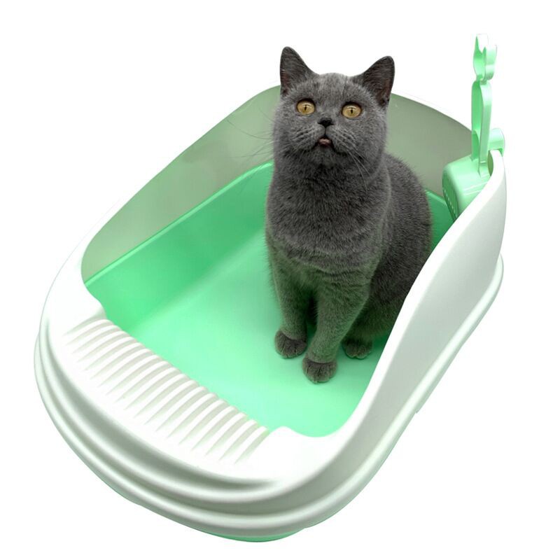READY STOCK XL 56cm Quality Cat Litter Box + FREE SCOPE Bekas Pasir ...