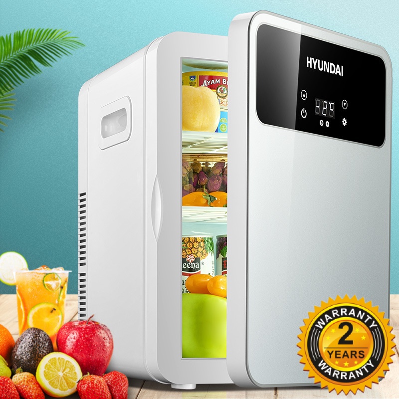 12V 220V 20L Dual Core Car Refrigerator Portable Fridge Mini Fridge ...