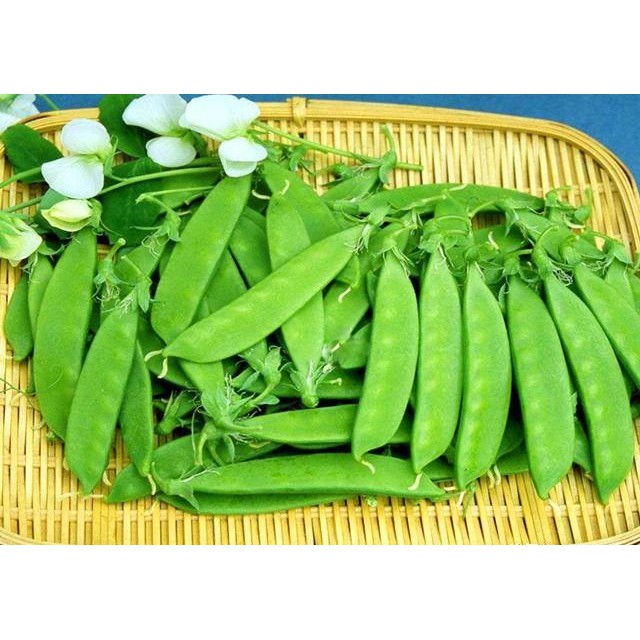 Biji Benih : Kacang Belanda (15 biji) / Holland Pea / Snow Pea Seeds ...