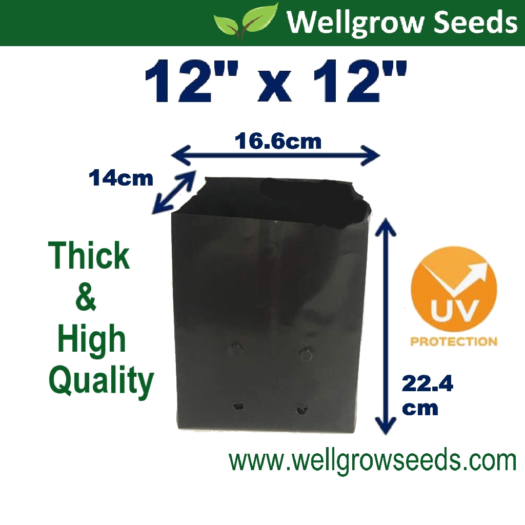 Polybag 12" x 12" (1kg) ≈30 pcs (Nursery Growing Bag Thick UV) Polibeg ...