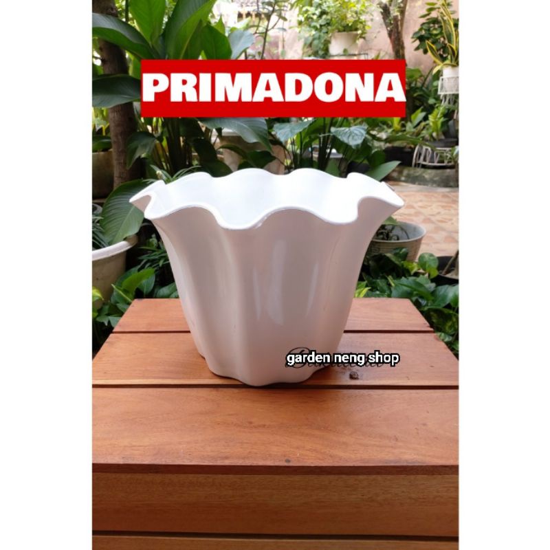 Primadona shallom Flower pot 20 White- Beautiful Wave Flower pot ...
