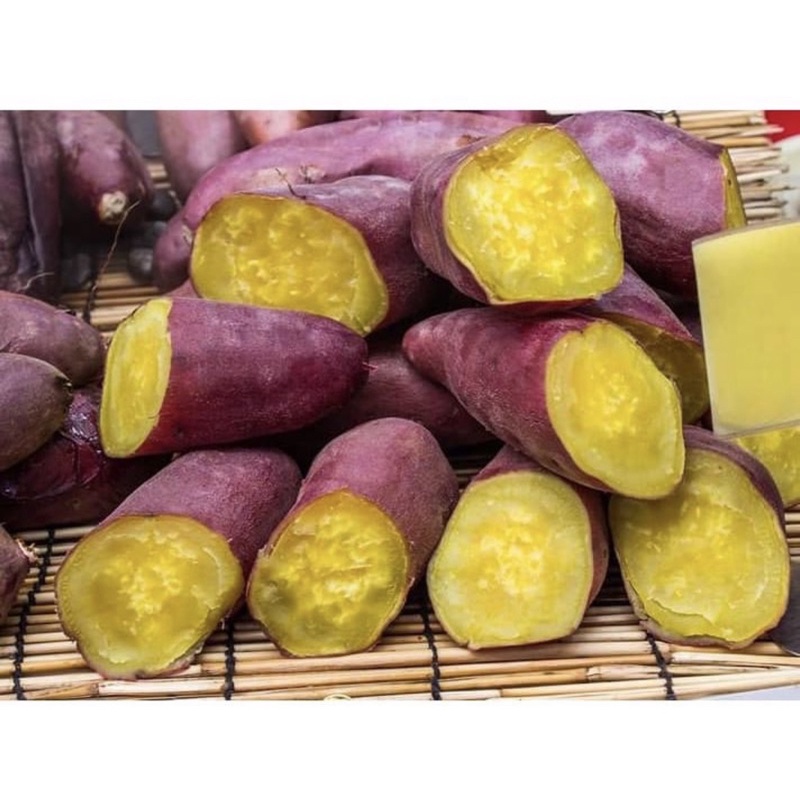 UBI KELEDEK CAMERON HIGHLANDS 🍠 | Shopee Malaysia