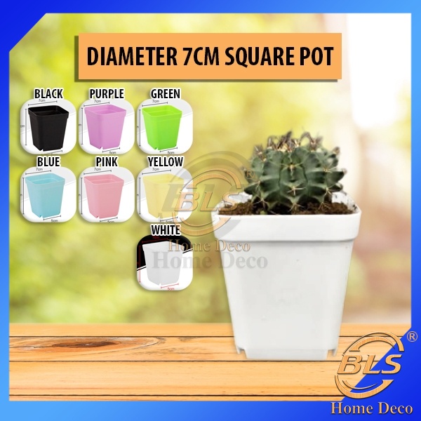 COLORFUL SUCCULENT CACTUS MINI SQUARE PLASTIC POT HOME & GARDEN ...