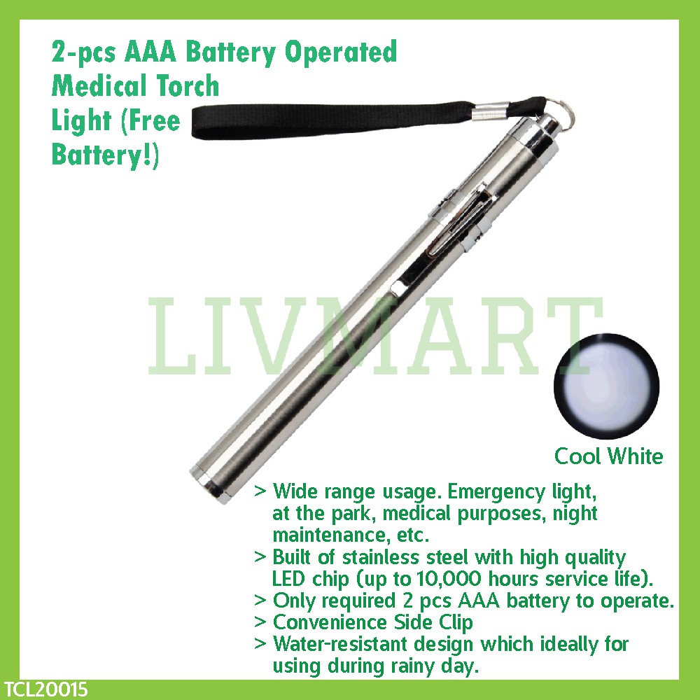 AAA (2pcs) Cool White LED Battery-Operated Stainless Steel Medical ...