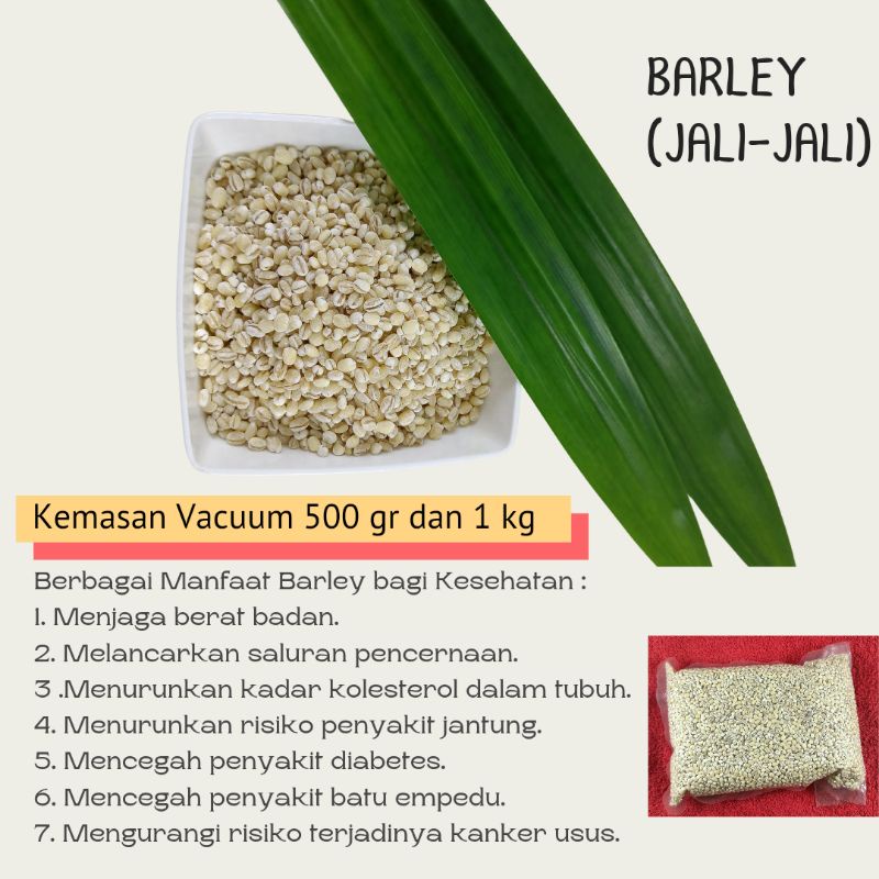 Healthy Food jali jali jali (Barley) Vacuum Packaging 500 gr Bembem ...