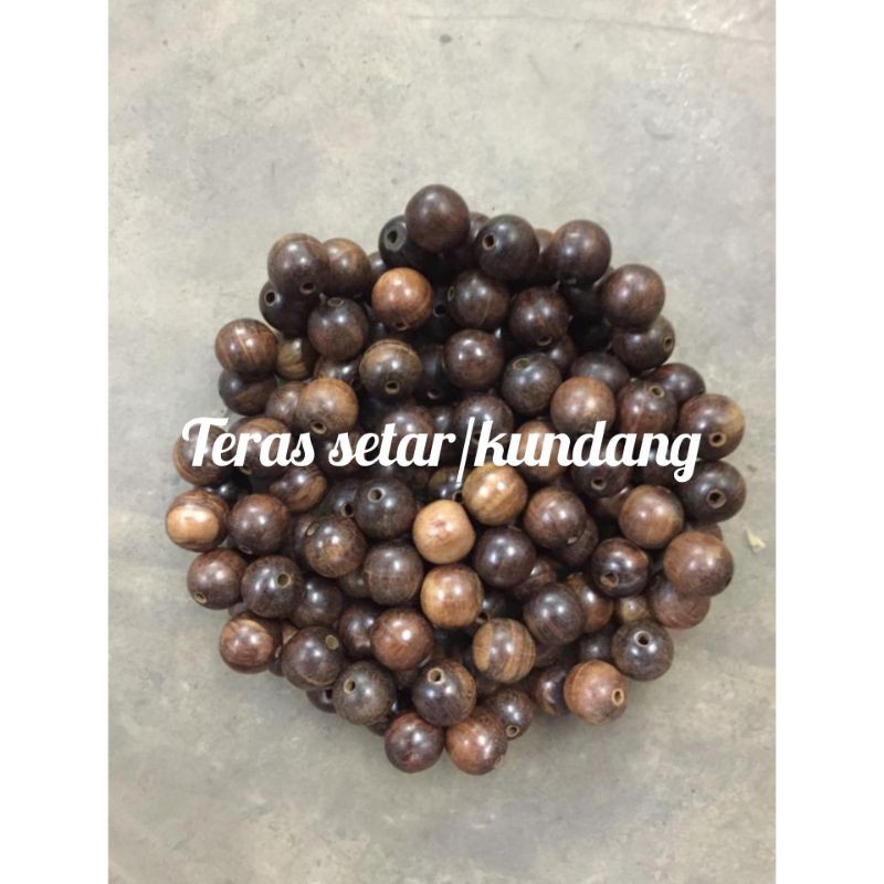 teras raja kayu damar minyak, setar hutan, cendana hitam | Shopee Malaysia