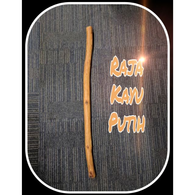 Tongkat Raja Kayu Putih | Shopee Malaysia