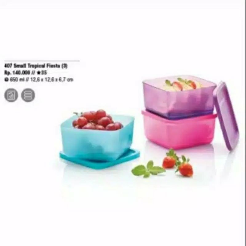 Small Tropical Fiesta Tupperware Jar | Shopee Malaysia