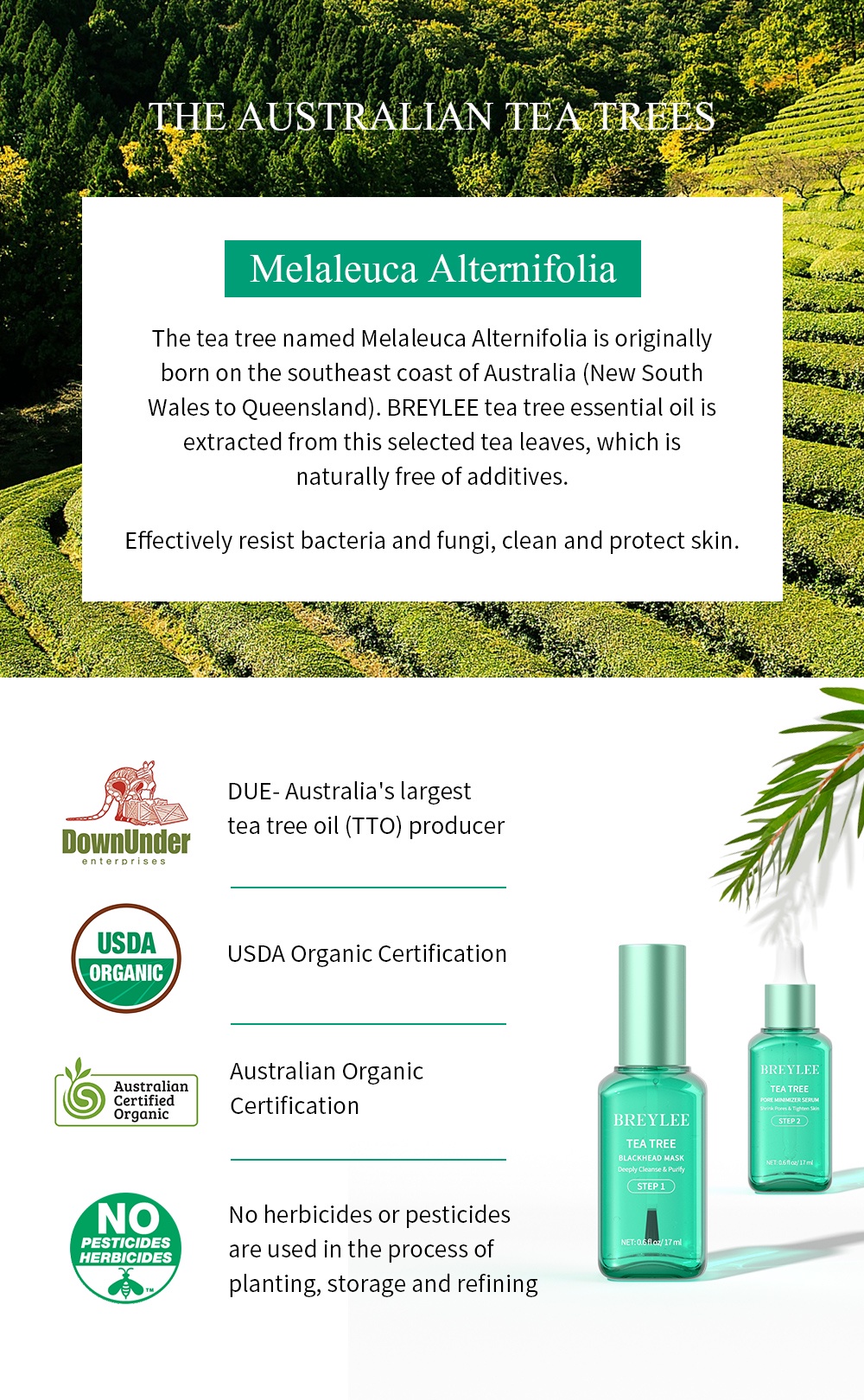 BREYLEE ACNE TREATMENT SET PLUS Skincare Blackhead Removal Shrink Pore Acne Face Serum Acne ...