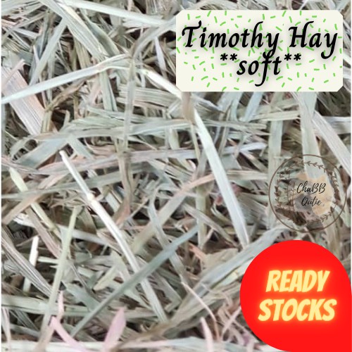 ULTRA SOFT TIMOTHY HAY (500G/1KG)/Premium USA for Guinea pigs / Rabbits ...
