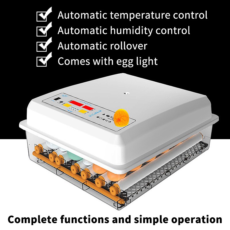 Automatic Egg Incubator 24/36/64 eggs Digital Eggs Incubator Fully ...