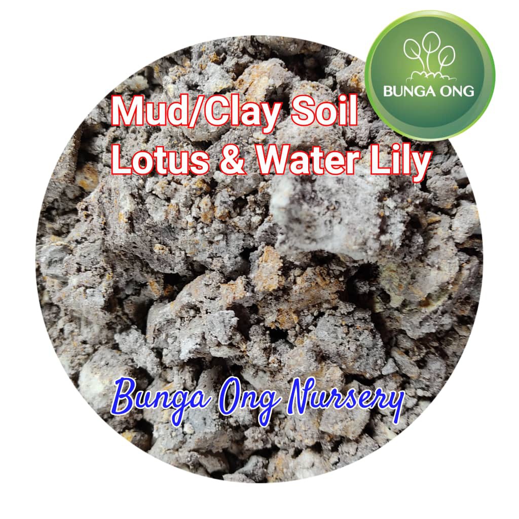 Mud / Clay Soil for Lotus water lily tanah(塘泥)/ lotus mud | Shopee Malaysia