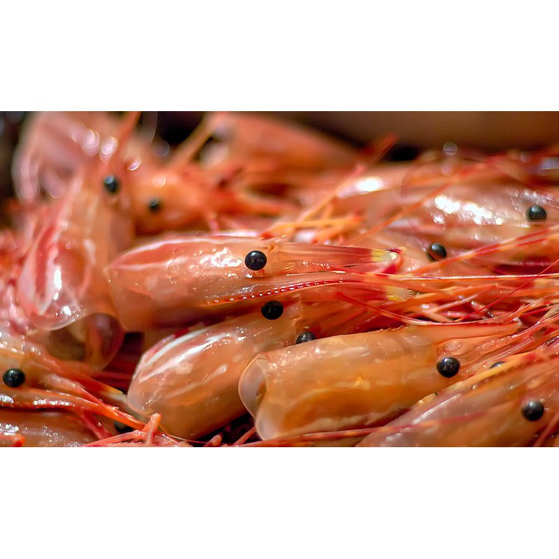 Prawn Shell Frozen《2KG》 | Shopee Malaysia