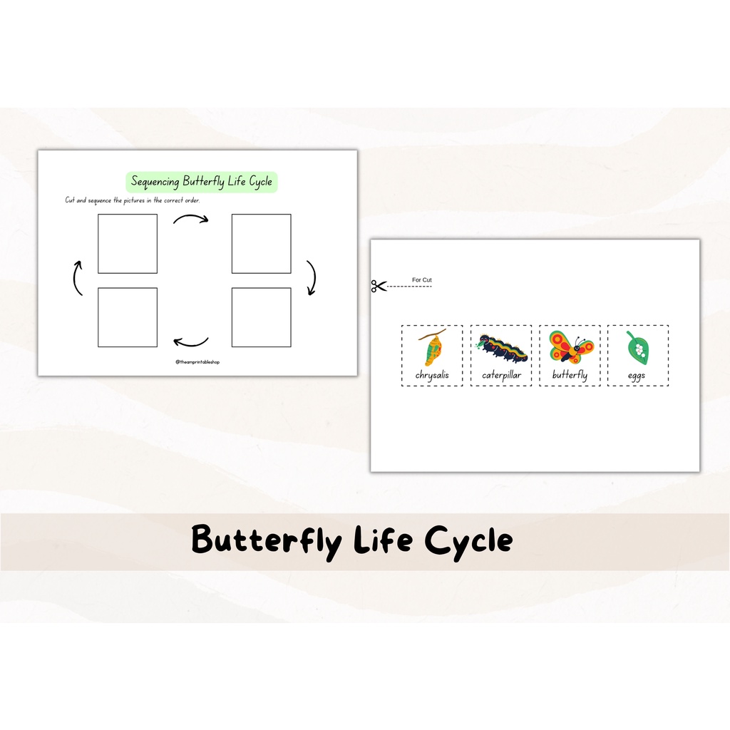 PRINTABLE Life Cycle for Butterfly, Frog and Chicken | Toddler | Nature ...