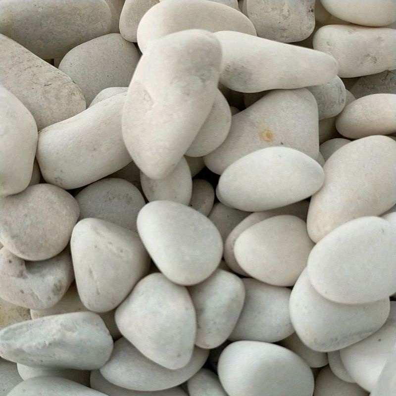 18kg 20kg Natural Pebble Pebbles Aquarium Gardening Decor River ...