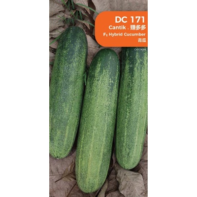 CROP POWER BIJI BENIH TIMUN CANTIK F1 HYBRID DC 171(20Gram) | Shopee ...