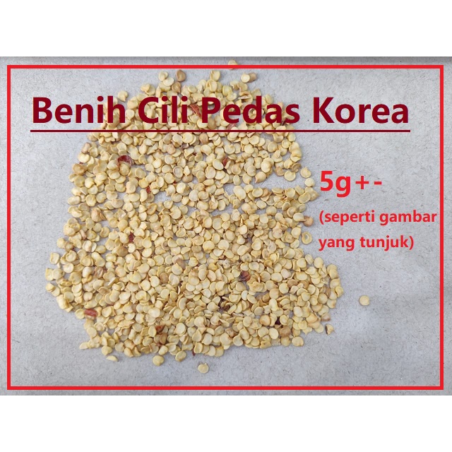Biji Benih Cili Korea Pedas Korean Spicy Chili Seed 韩国原种朝天椒红指天椒 辣椒种子 ...