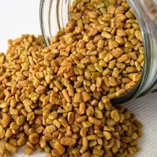 halba Malaysia, Best Deals August 2024 | Shopee Malaysia