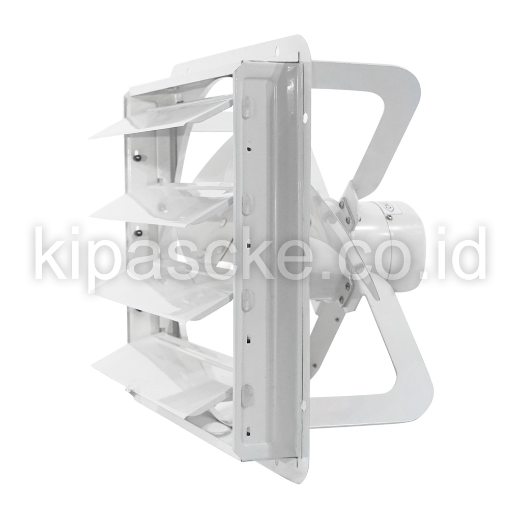 Exhaust Fan CKE ESS-25-5D-YL 10 Inch Exos Fan Wall Blower Hospital ...