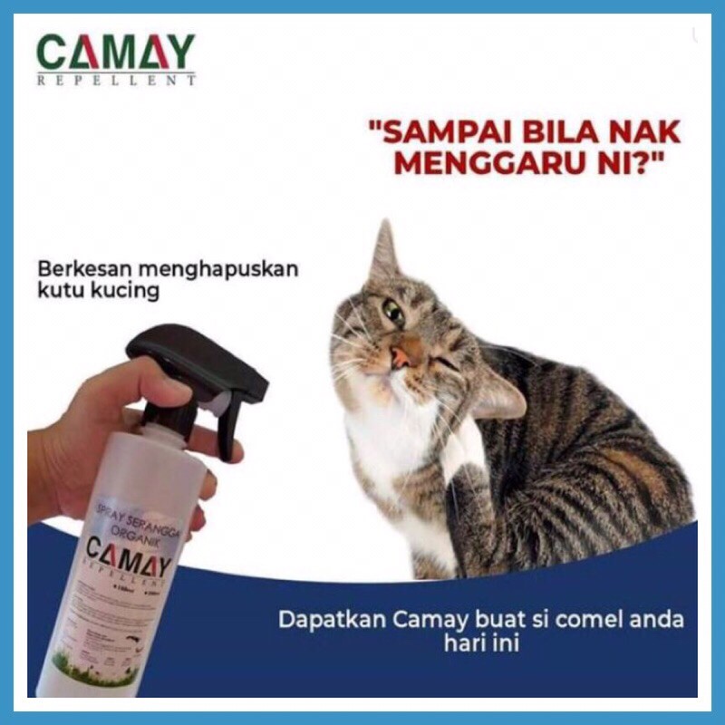 Spray Kutu Haiwan / Cat Flea Lice Spray / Spray Kutu Kucing/Anjing ...