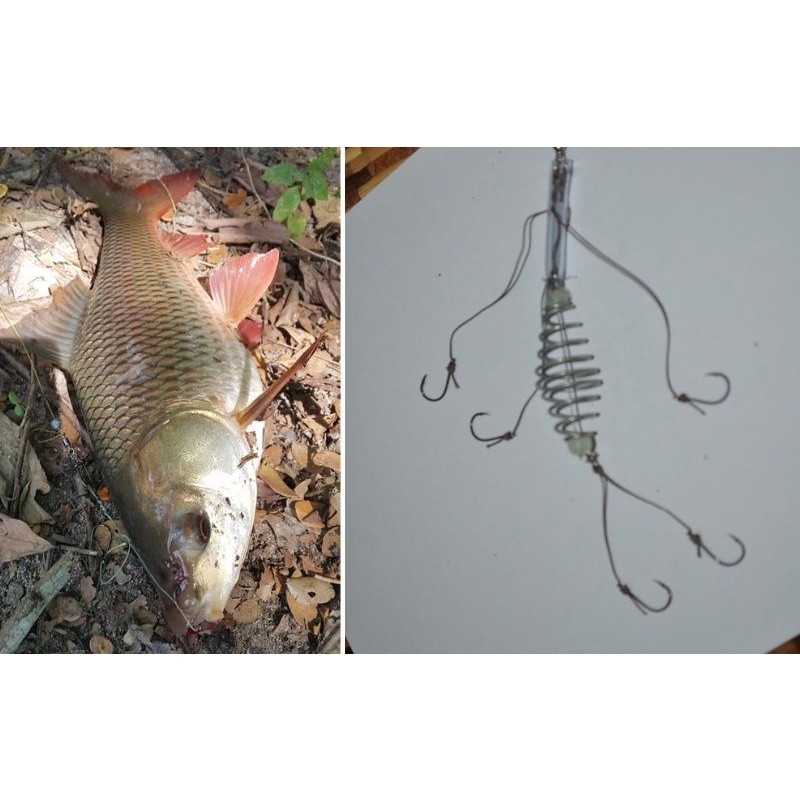 MATA BOM FISHING OFFER MIX | Shopee Malaysia