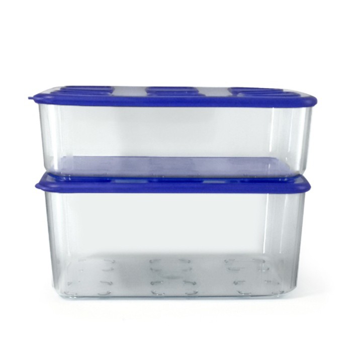 Tupperware Fresh N Clear Large Set (2pcs) | Shopee Malaysia