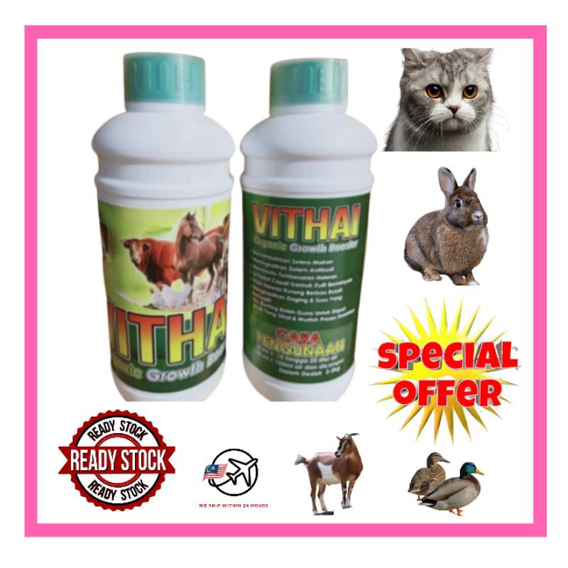 💥VITHAI💥 Supplement🔥ReadyStock🔥Pet Healthcare | Shopee Malaysia