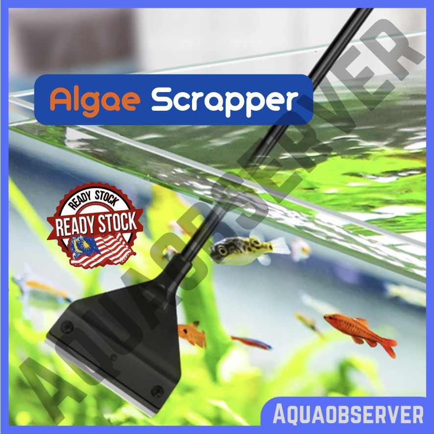【Malaysia Ready Stock】Stainless Steel Algae Scraper Aquarium Glass ...