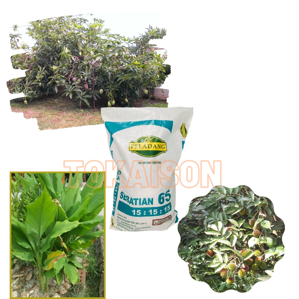 Baja 50KG \ Baja 15:15:15 \ Baja NPK \ Baja Pokok \ Baja Pertumbuhan ...