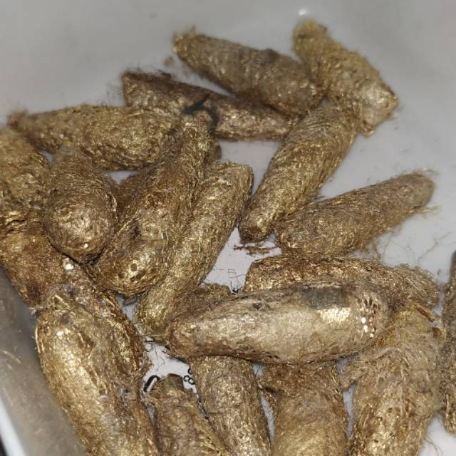 Yellow Wesi Iron Yellow Entong | BESI KUNING WESI KUNING ENTONG ...