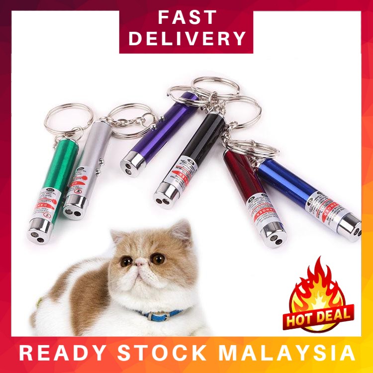 Pet Cat Laser Pointer 2 in 1Chaser Toy with Laser Red Dot And ...