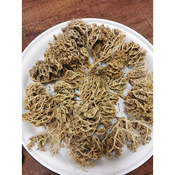 Akar Bunga Fatimah/Bunga kembang Semangkuk/Keff Maryam ( dari Mekah ...