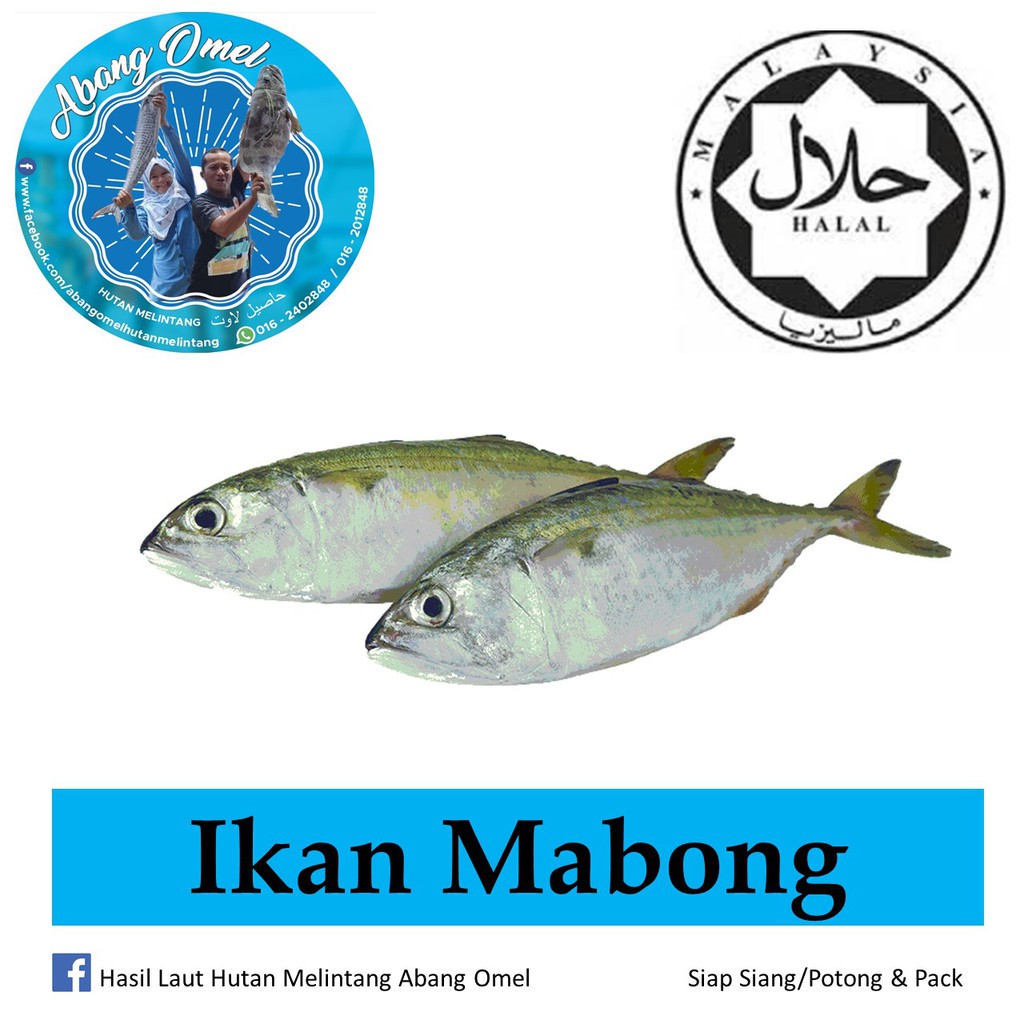 Ikan Mabung Hasil Laut Hutan Melintang Abang Omel | Shopee Malaysia
