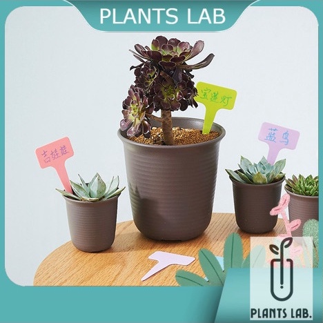 Plant Tag/Plant Label/Penanda Pokok/Plant Tag : Plastic T-Type Plant ...